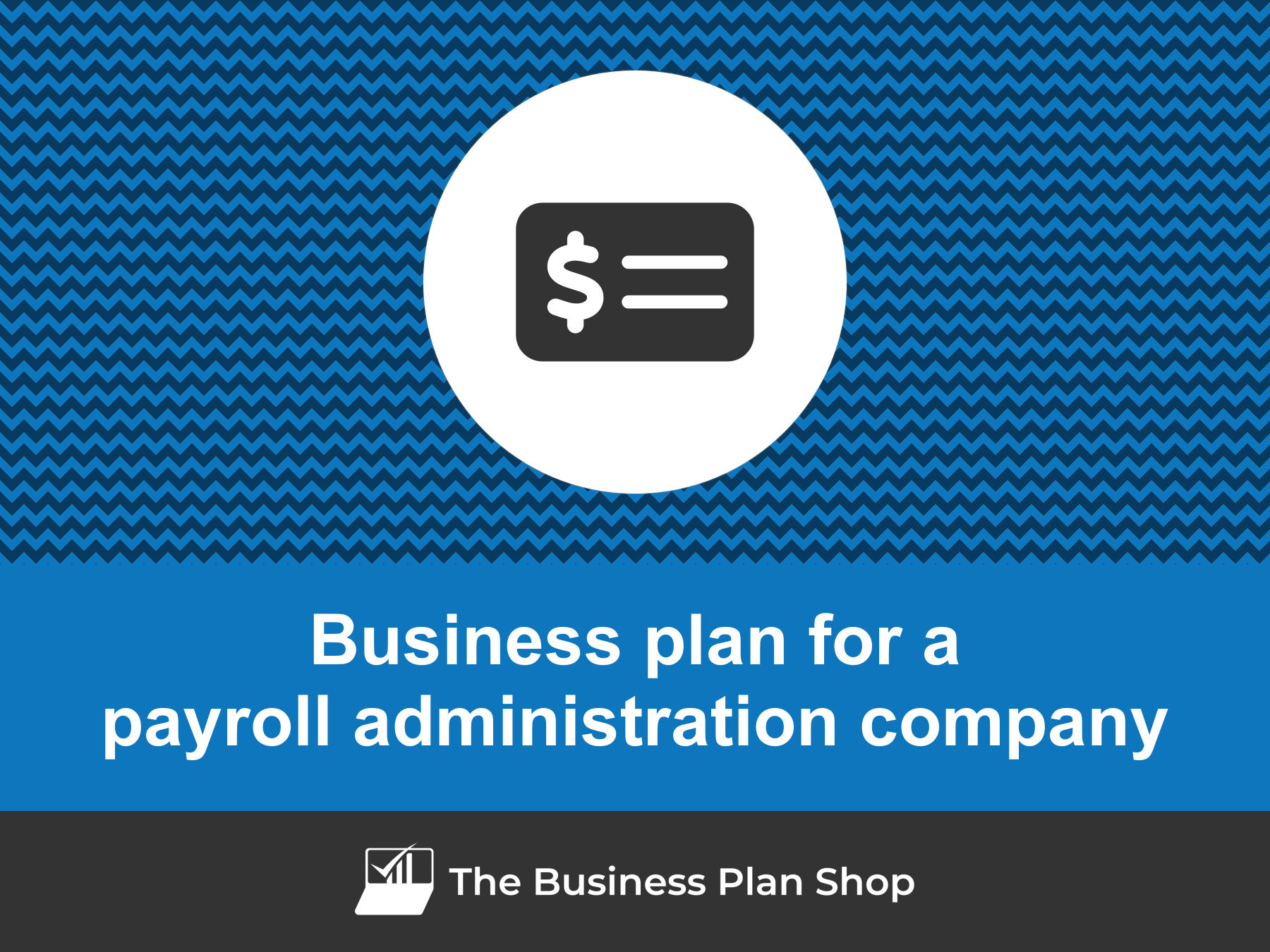 How to write a business plan for a payroll administration company?