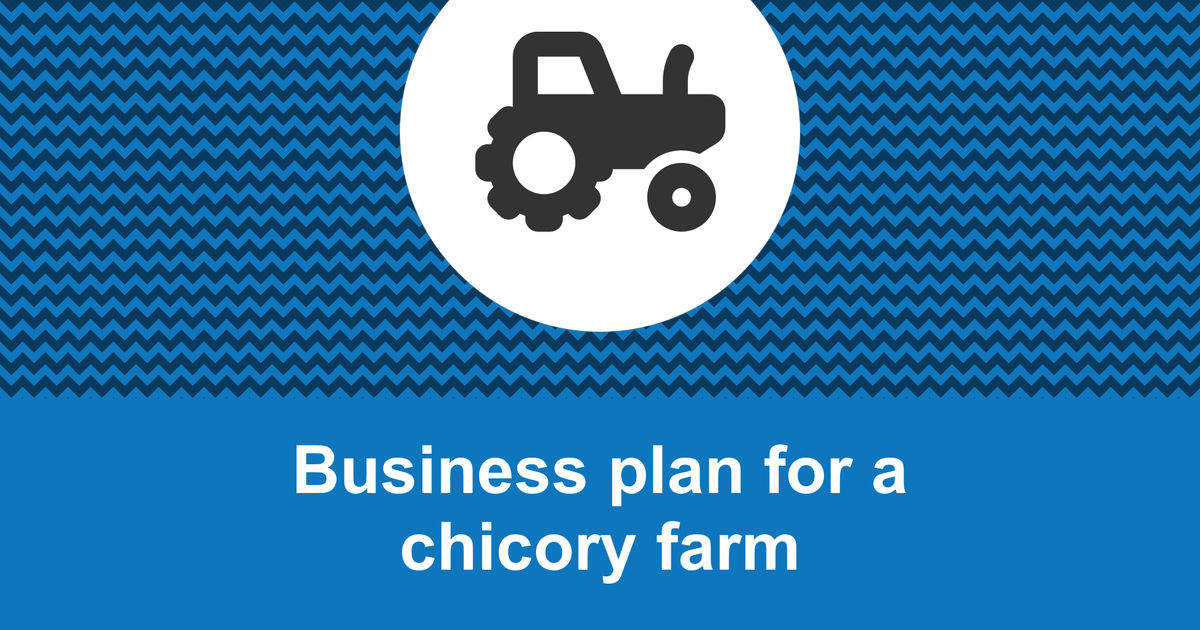 How to write a business plan for a chicory farm?