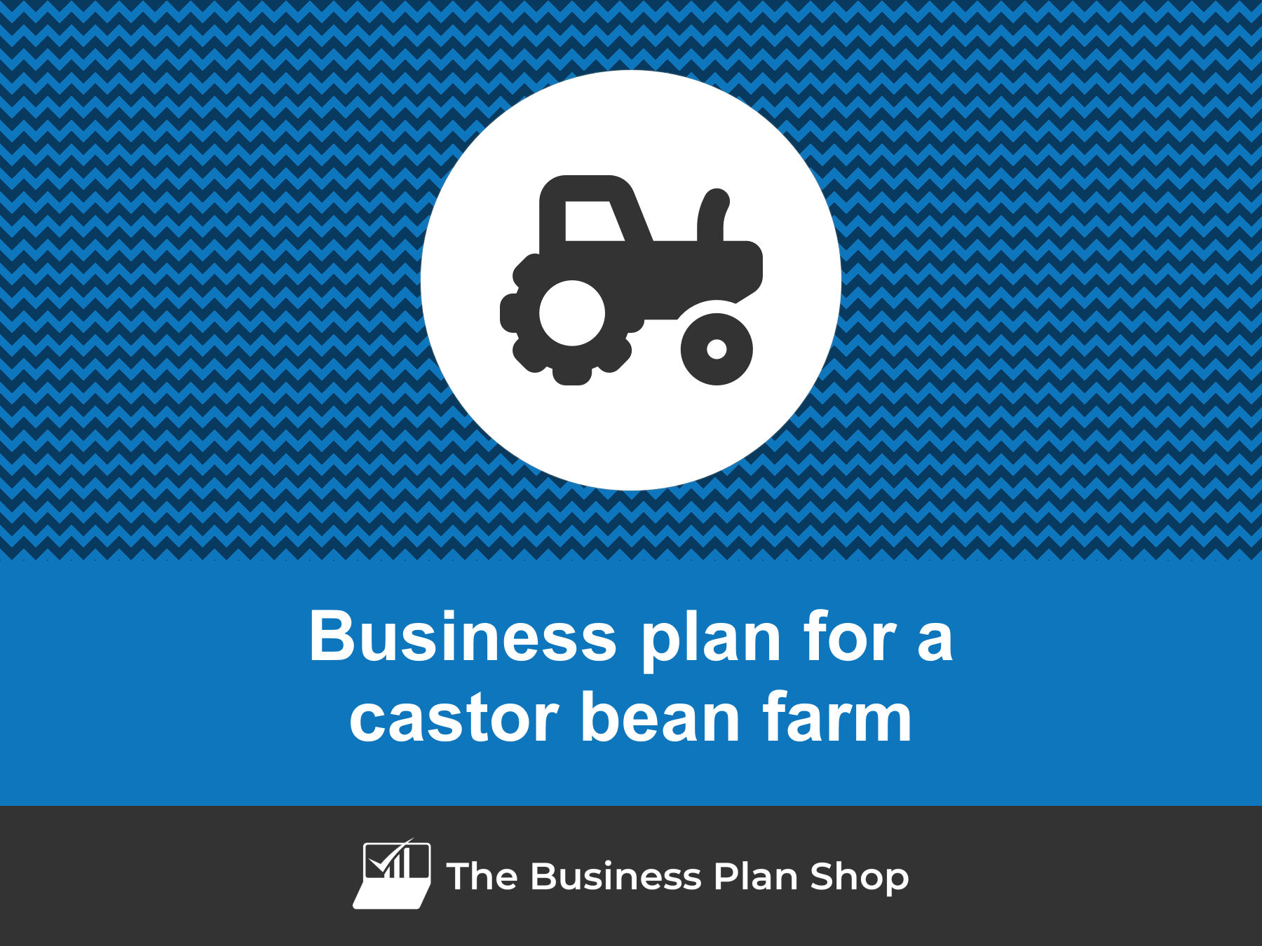 How to write a business plan for a castor bean farm?