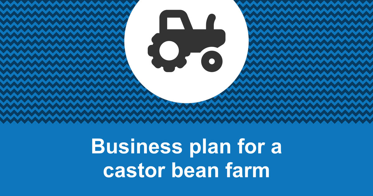 How to write a business plan for a castor bean farm?