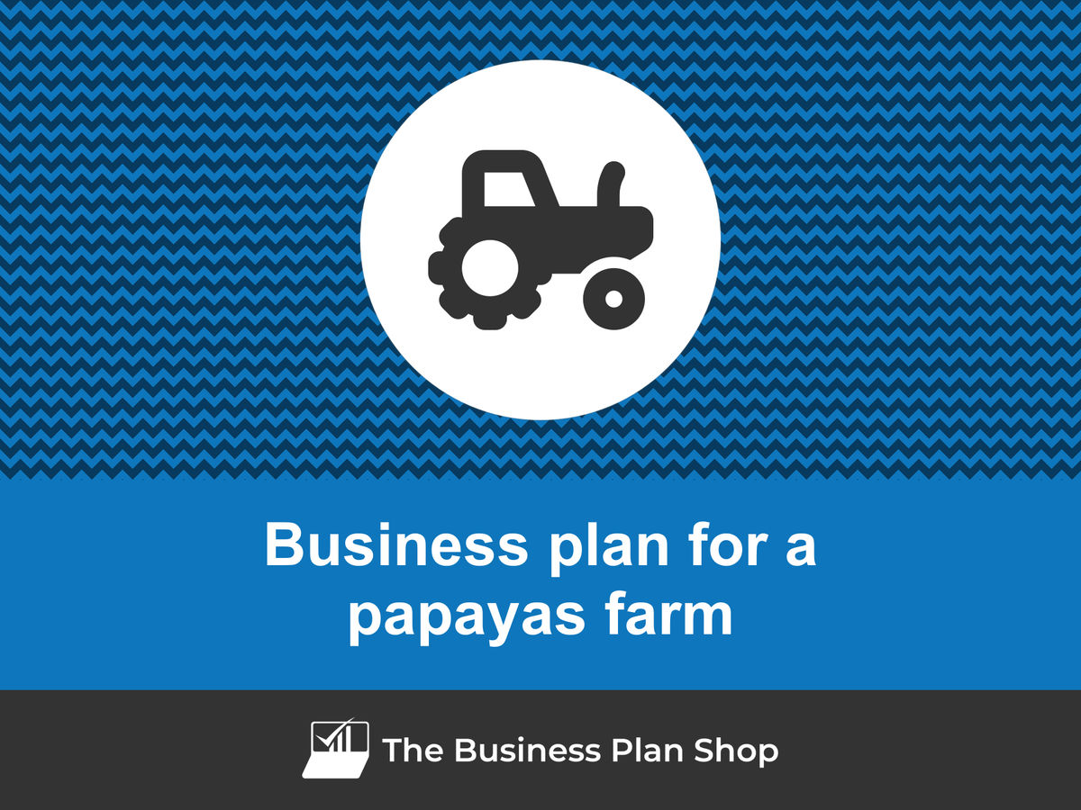 How to write a business plan for a papaya farm?