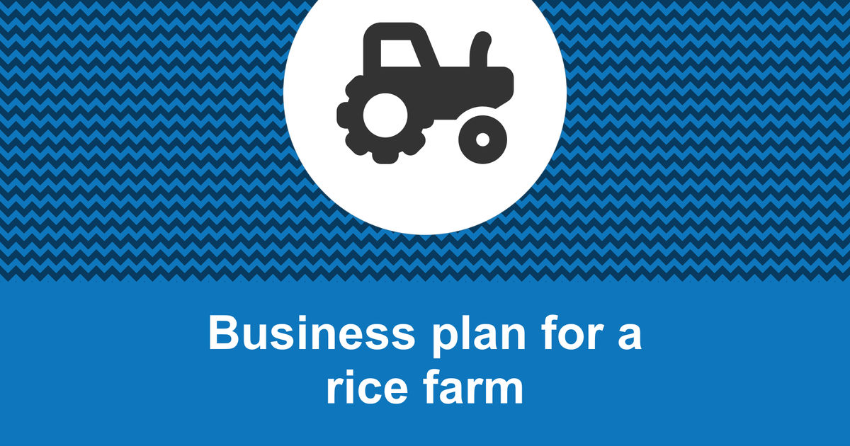 How to write a business plan for a rice farm?