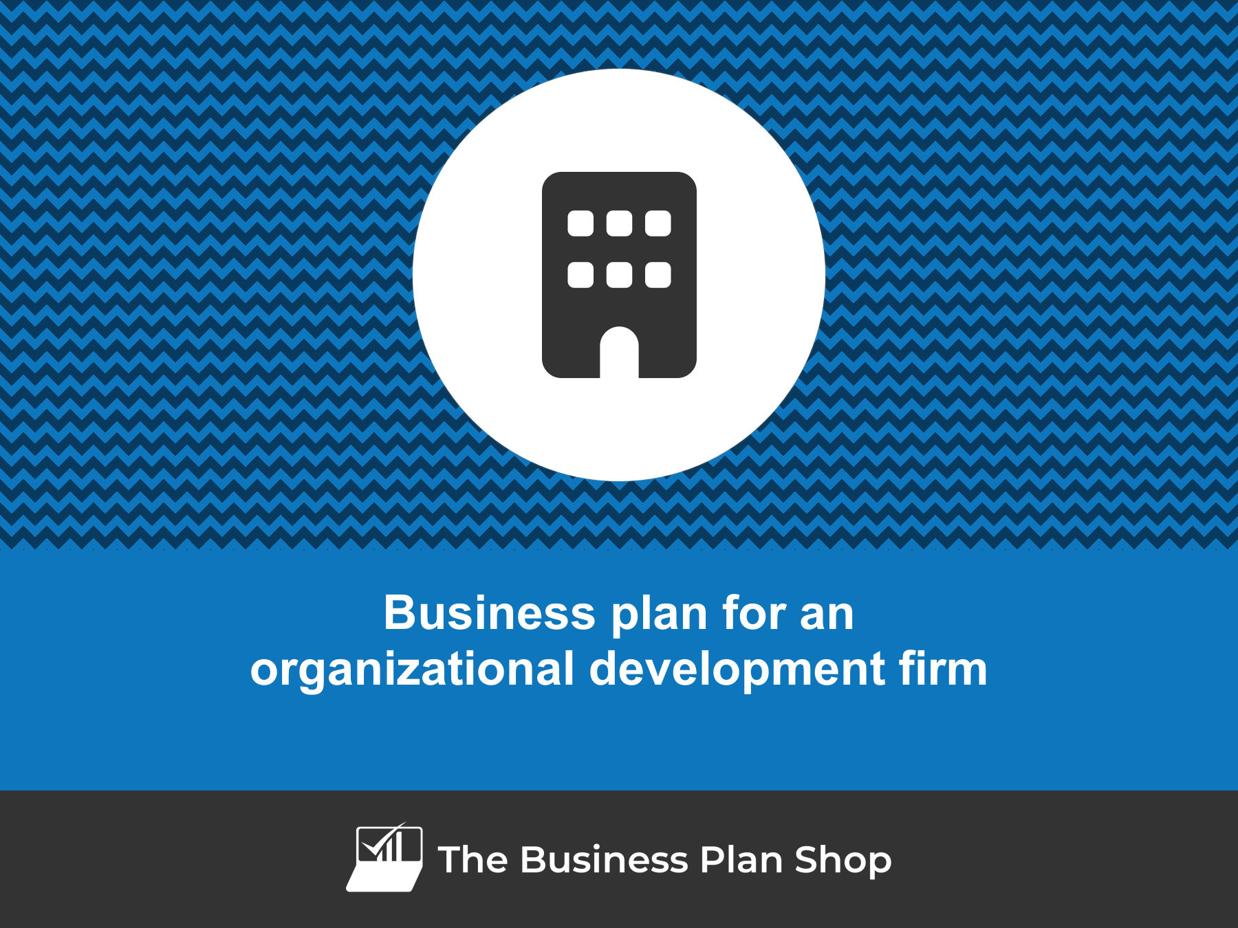 How to write a business plan for an organizational development firm?