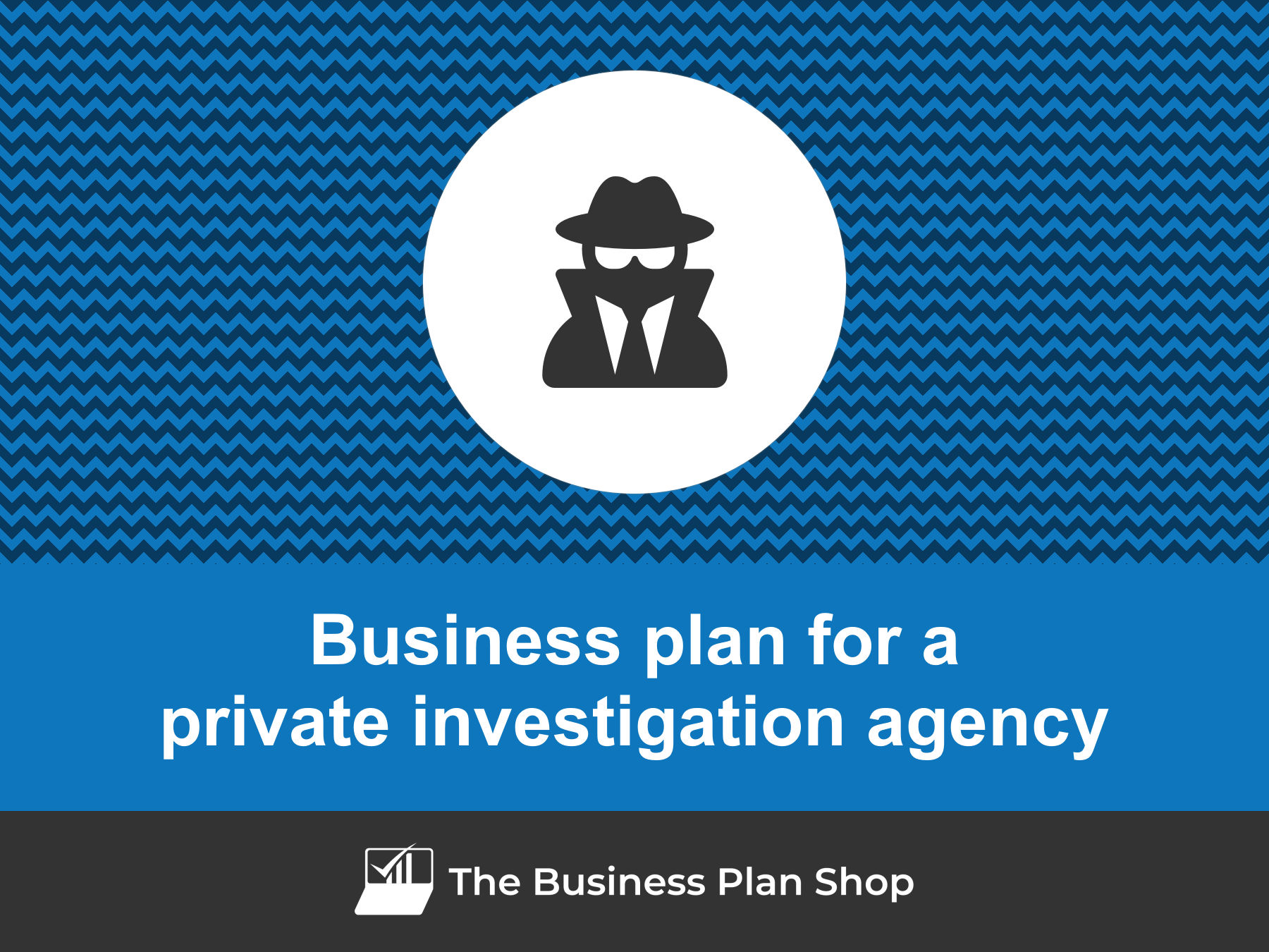 How to write a business plan for a private investigation agency?