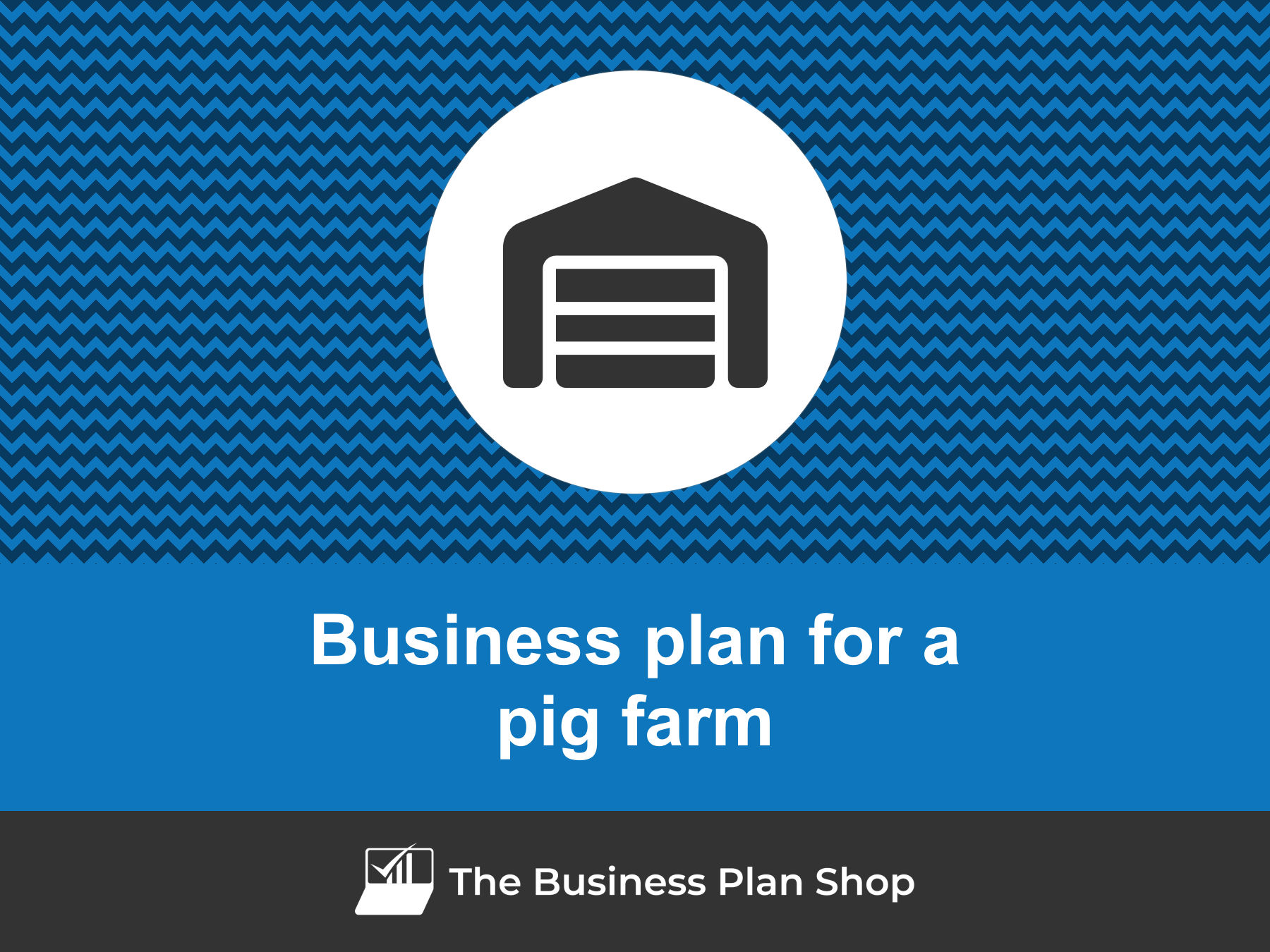 How to write a business plan for a pig farm?