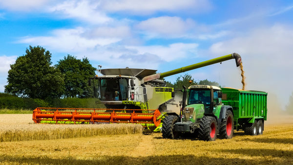 How to write a business plan for a grain farm?