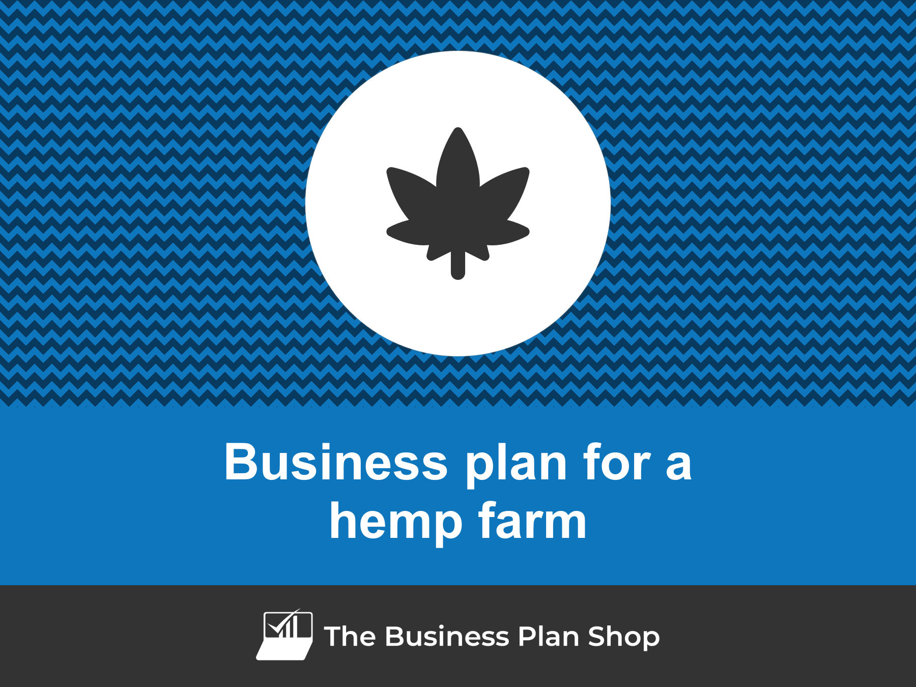 How to write a business plan for a hemp farm?