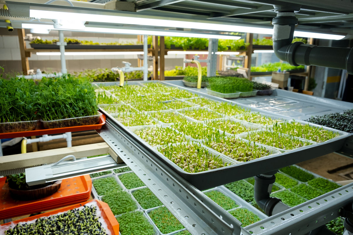 How to write a business plan for a micro farm?