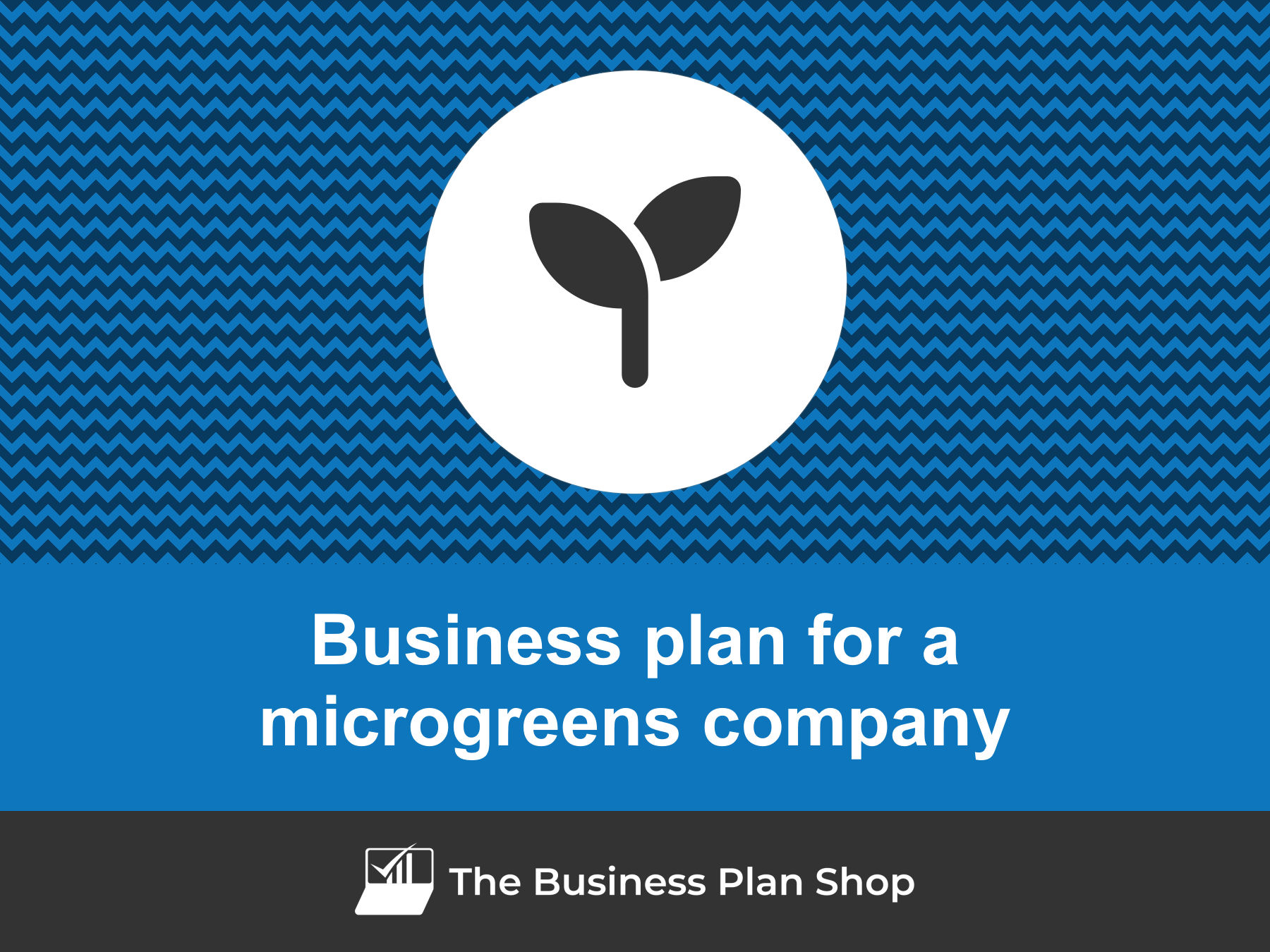How to write a business plan for a microgreens company?