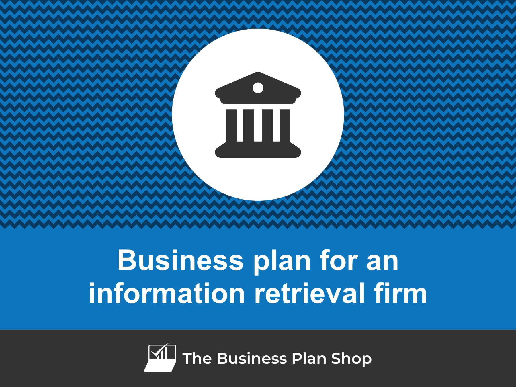 How to write a business plan for an information retrieval firm?