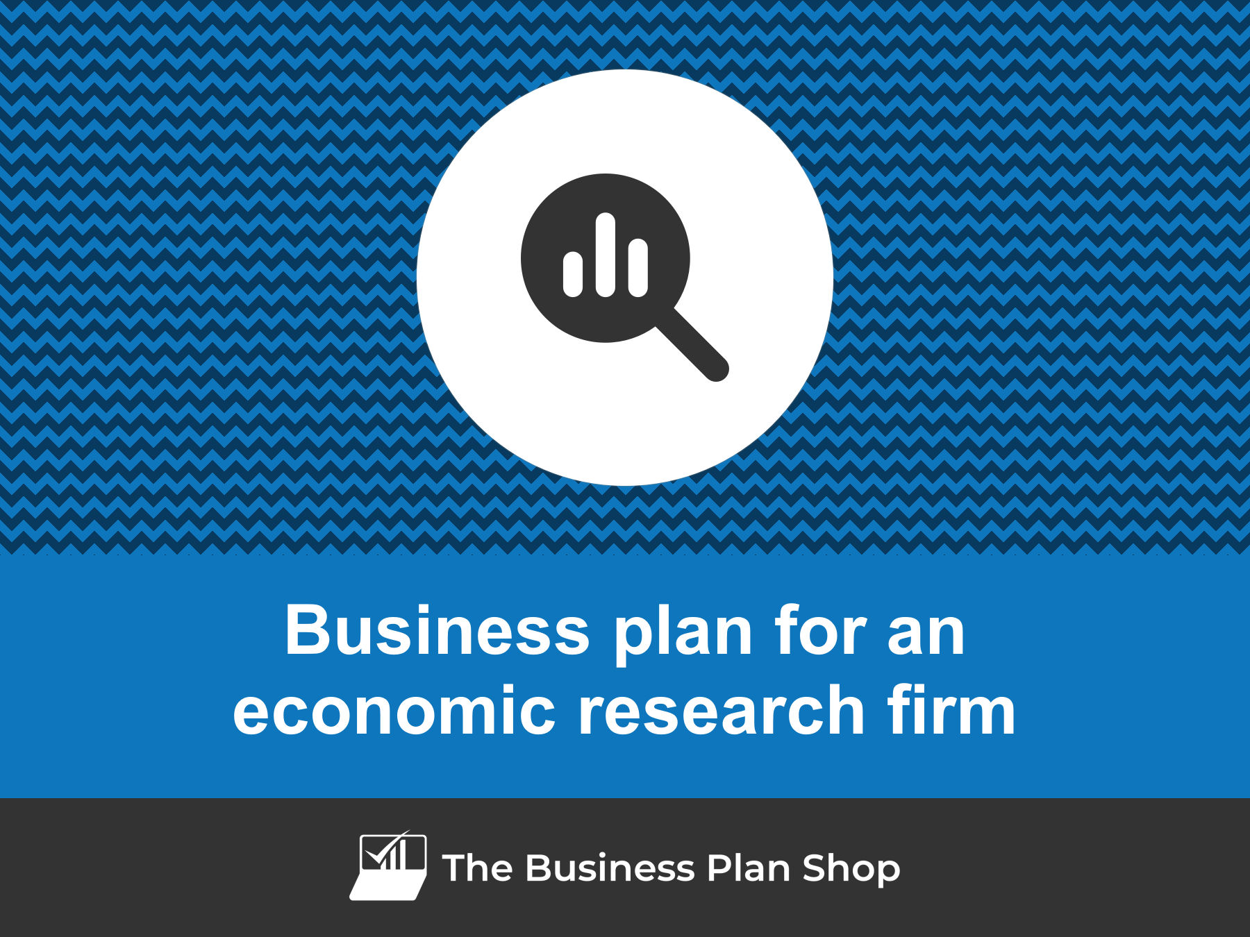 How to write a business plan for an economic research firm?