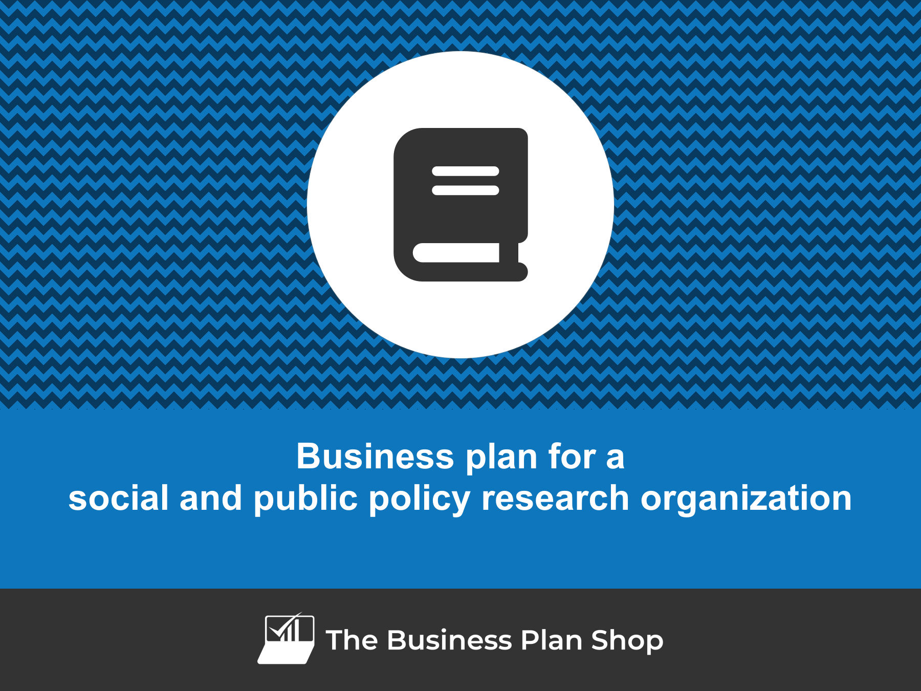 How to write a business plan for a policy research institute?