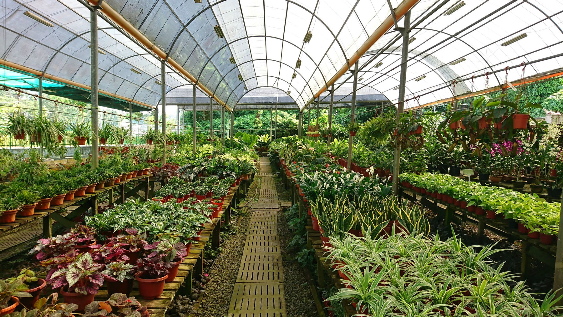 How to write a business plan for a plant nursery?