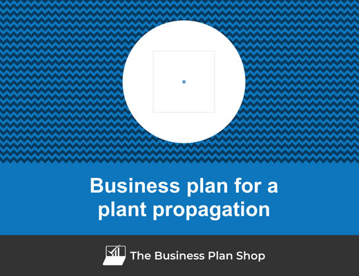 How to write a business plan for a rubber trees farm?