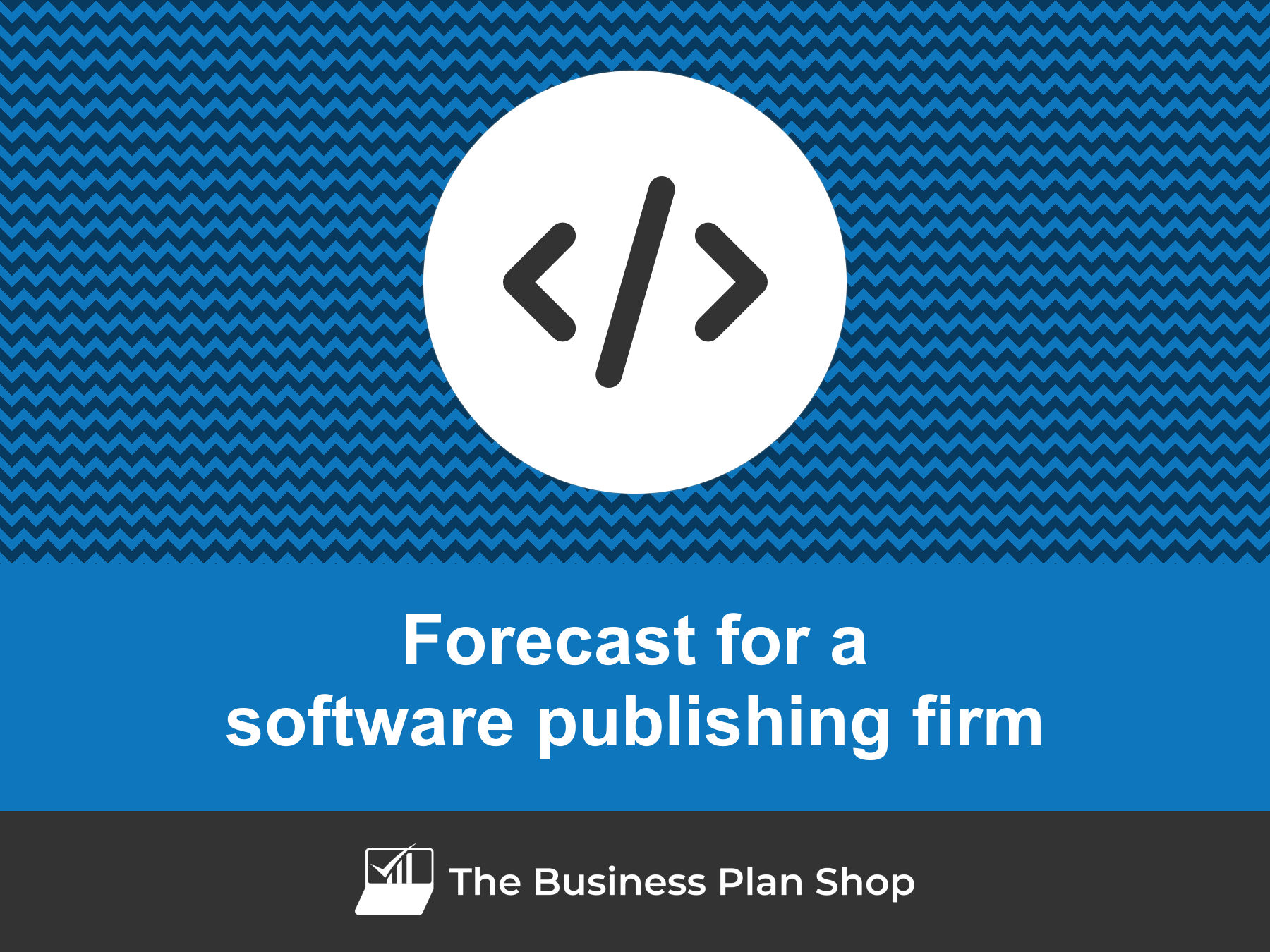 How to create a software publishing firm financial forecast?