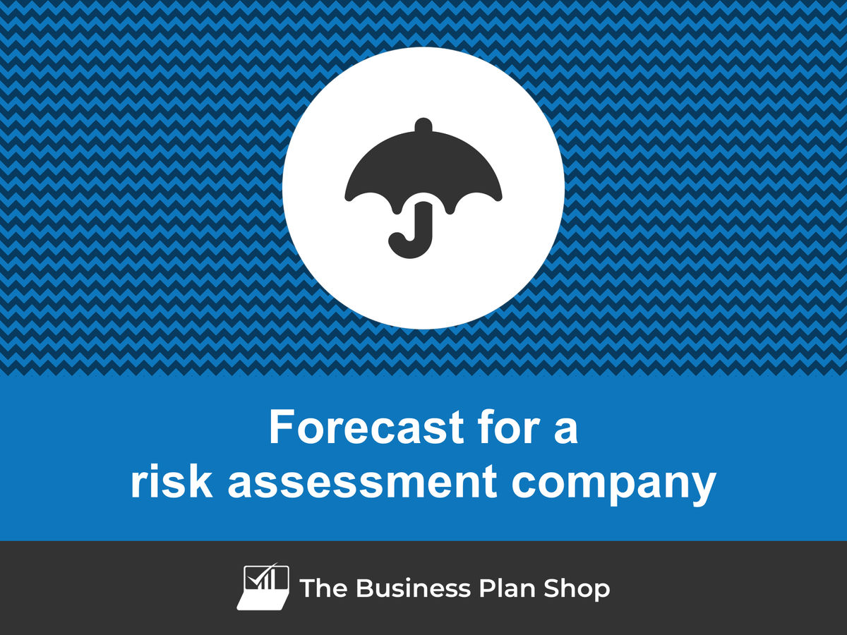 How to create a risk assessment company financial forecast?