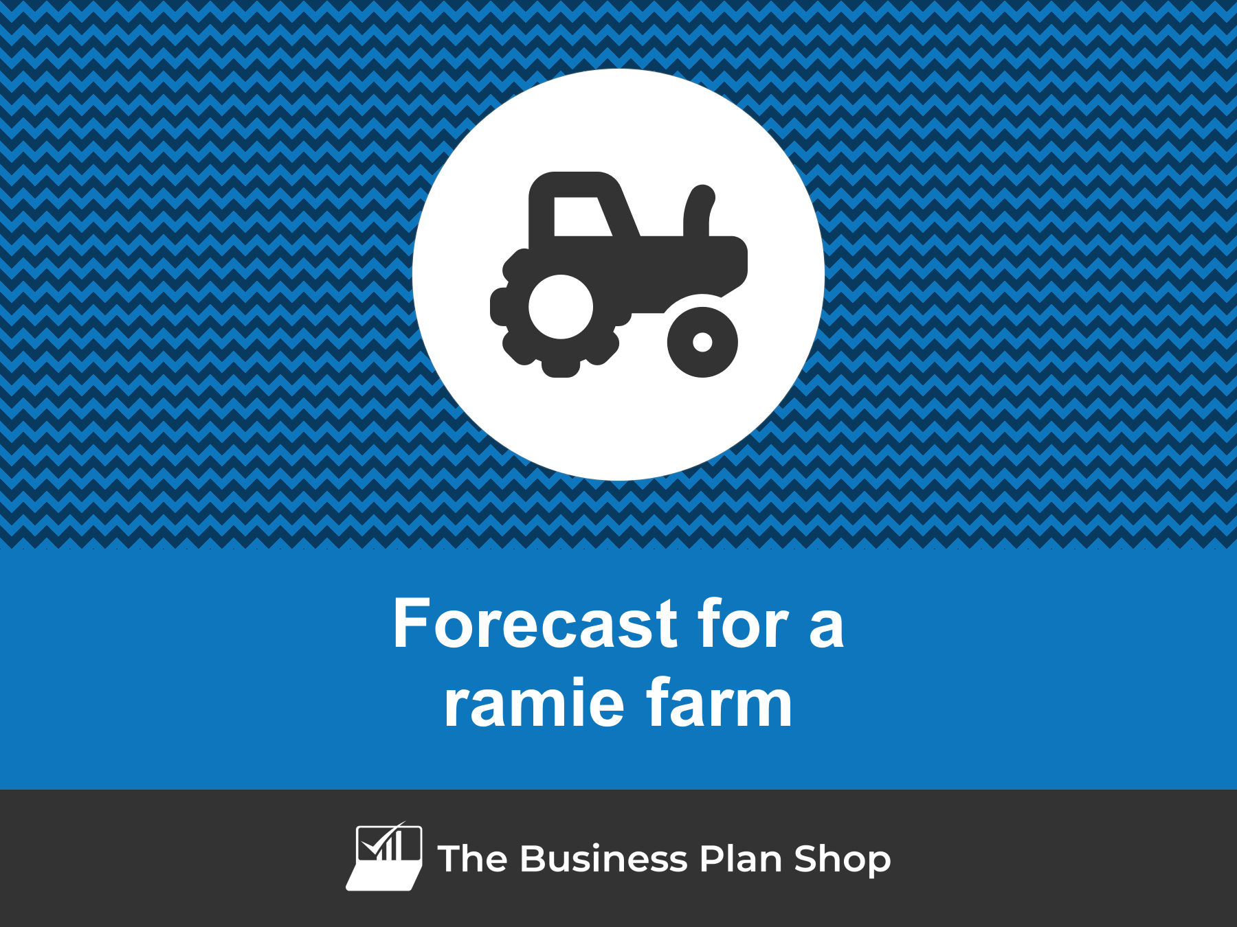 How to create a ramie farm financial forecast?