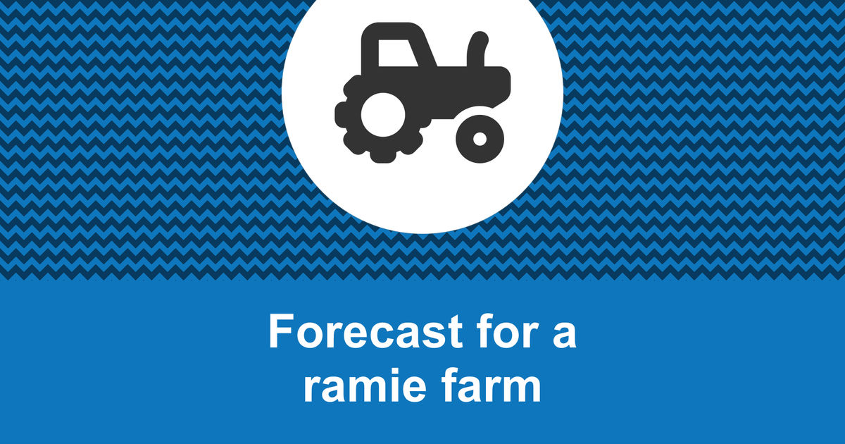 How to create a ramie farm financial forecast?
