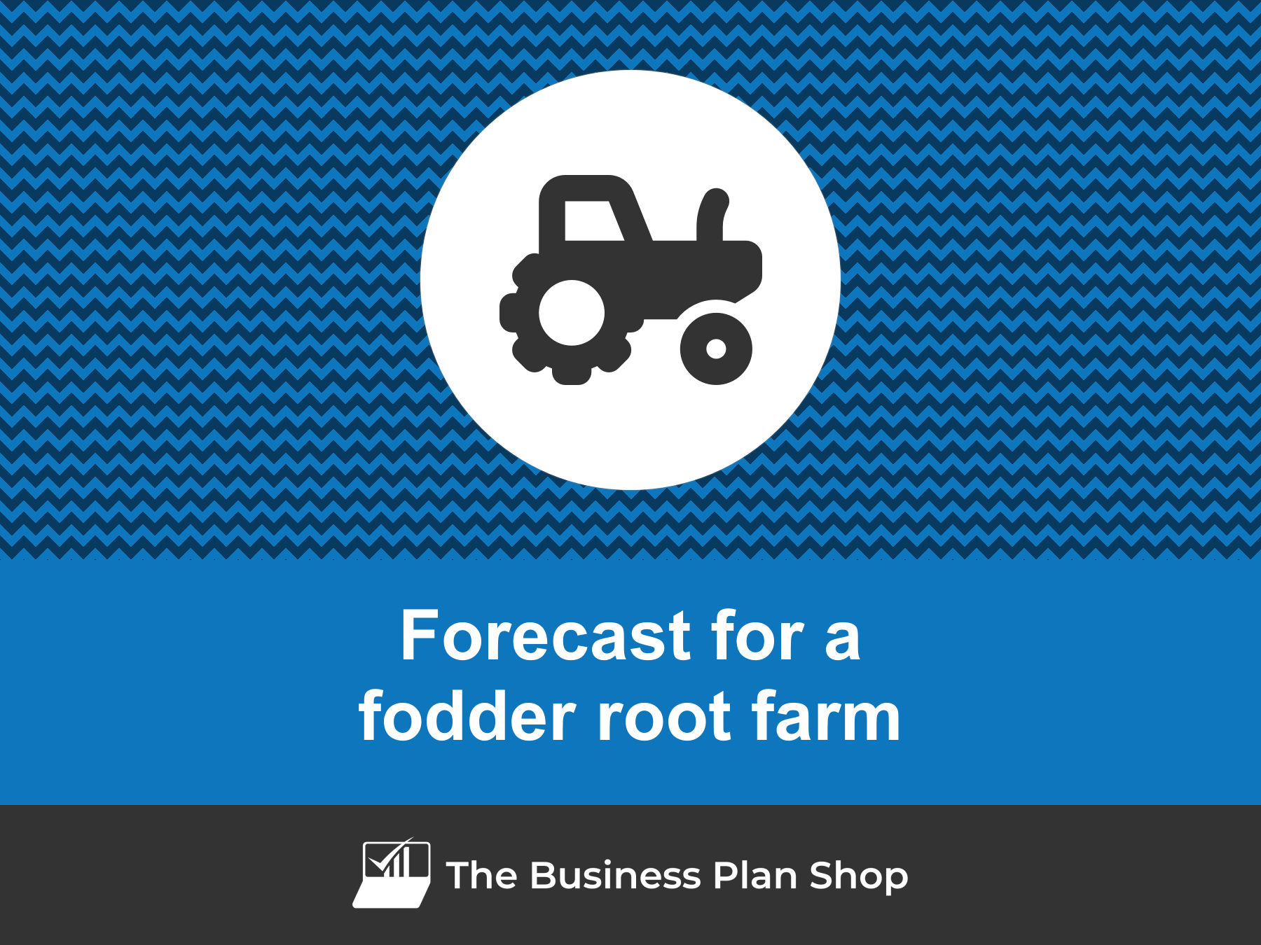How to create a fodder root farm financial forecast?