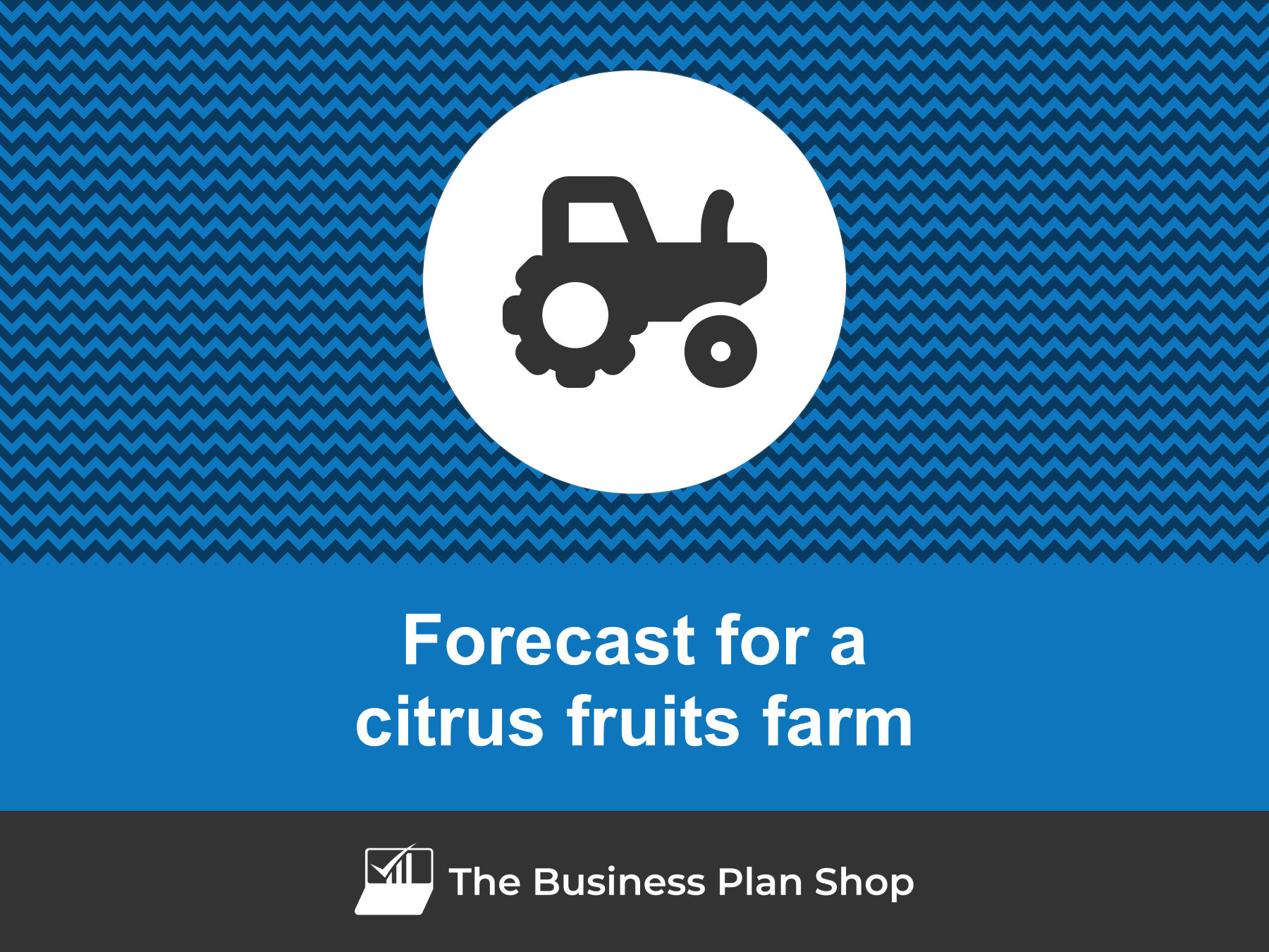 How to create a citrus fruits farm financial forecast?