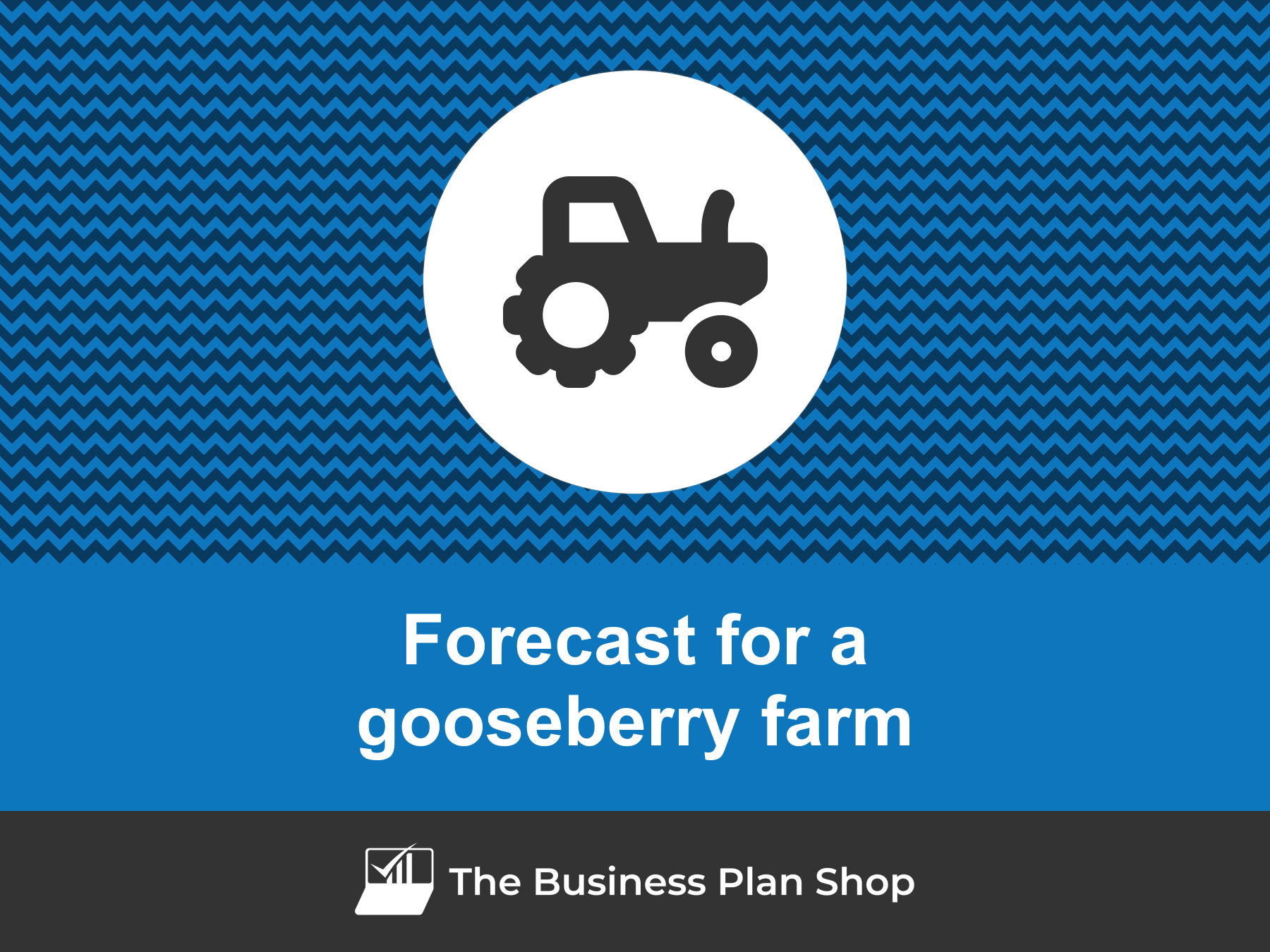 How to create a gooseberry farm financial forecast?