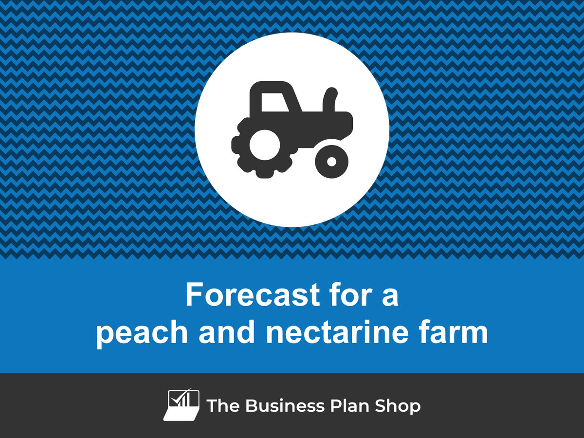 How to create a peach and nectarine farm financial forecast?
