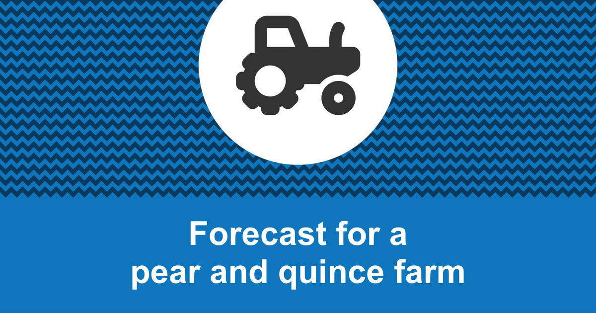 How to create a pear and quince farm financial forecast?