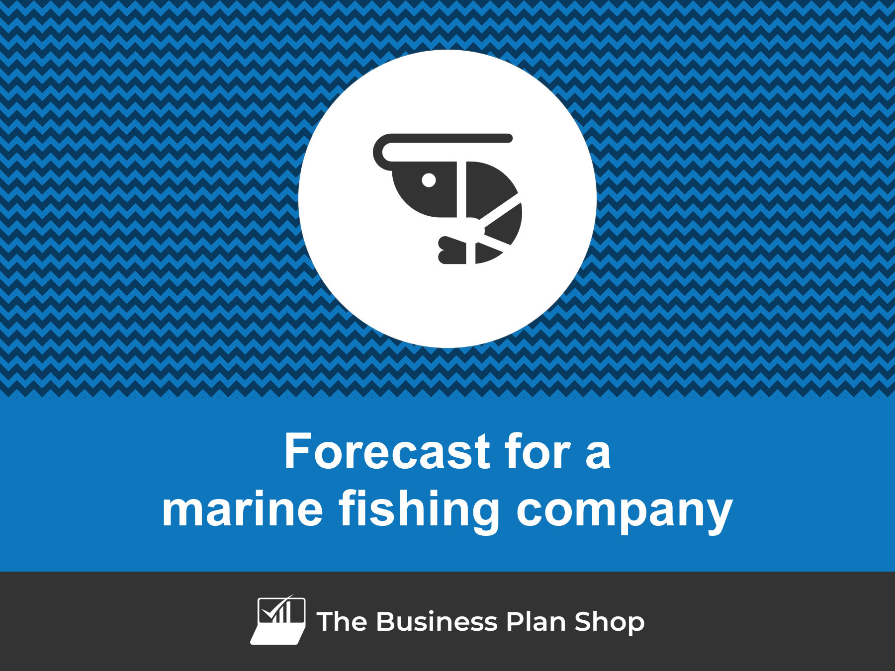 How to create a marine fishing company financial forecast?