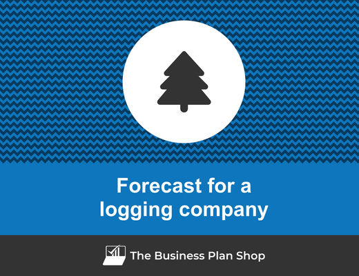 How to write a business plan for a logging company?