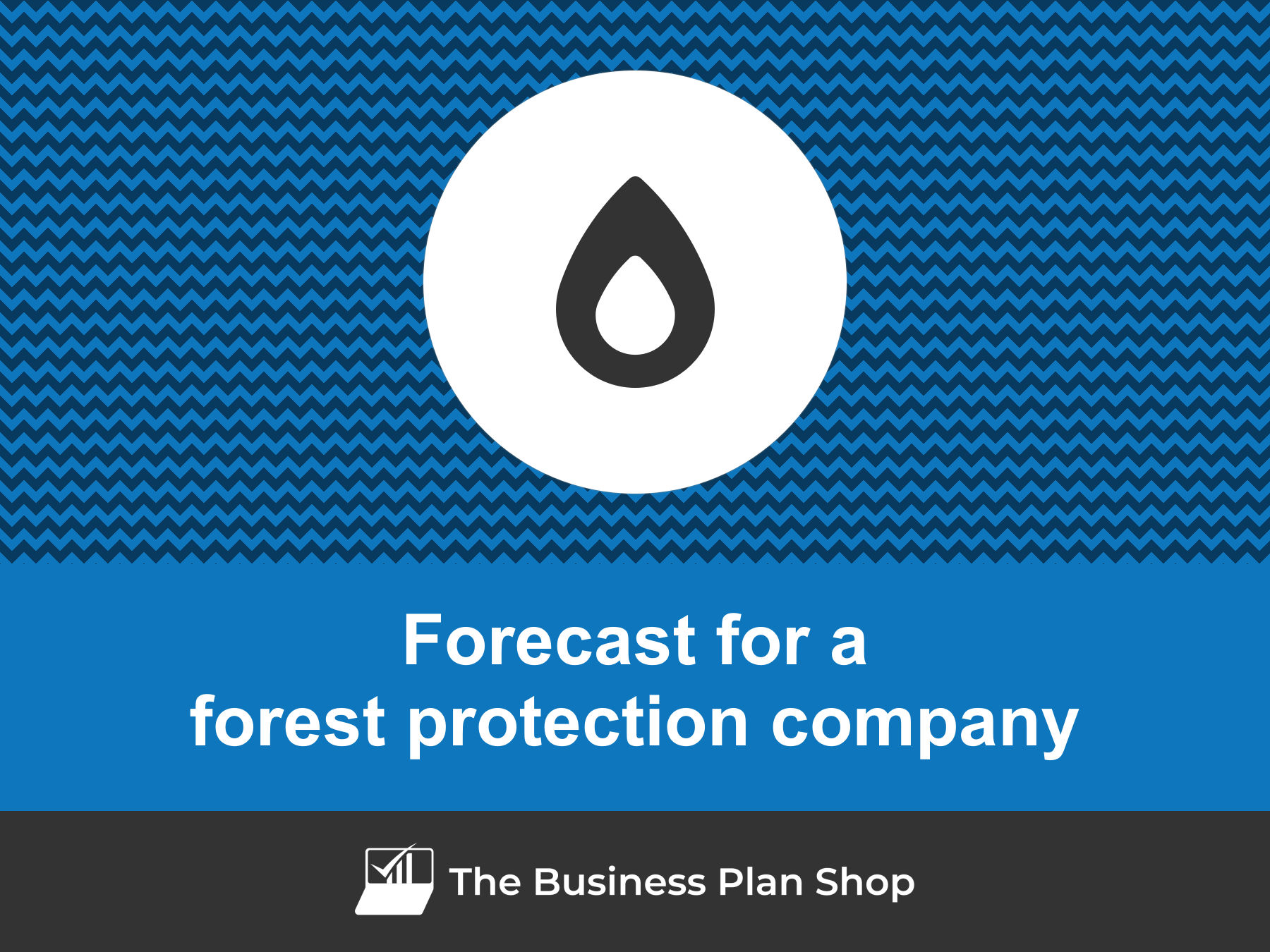 How to create a forest protection company financial forecast?