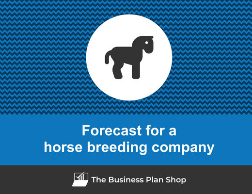 How to open a profitable horse breeding company?