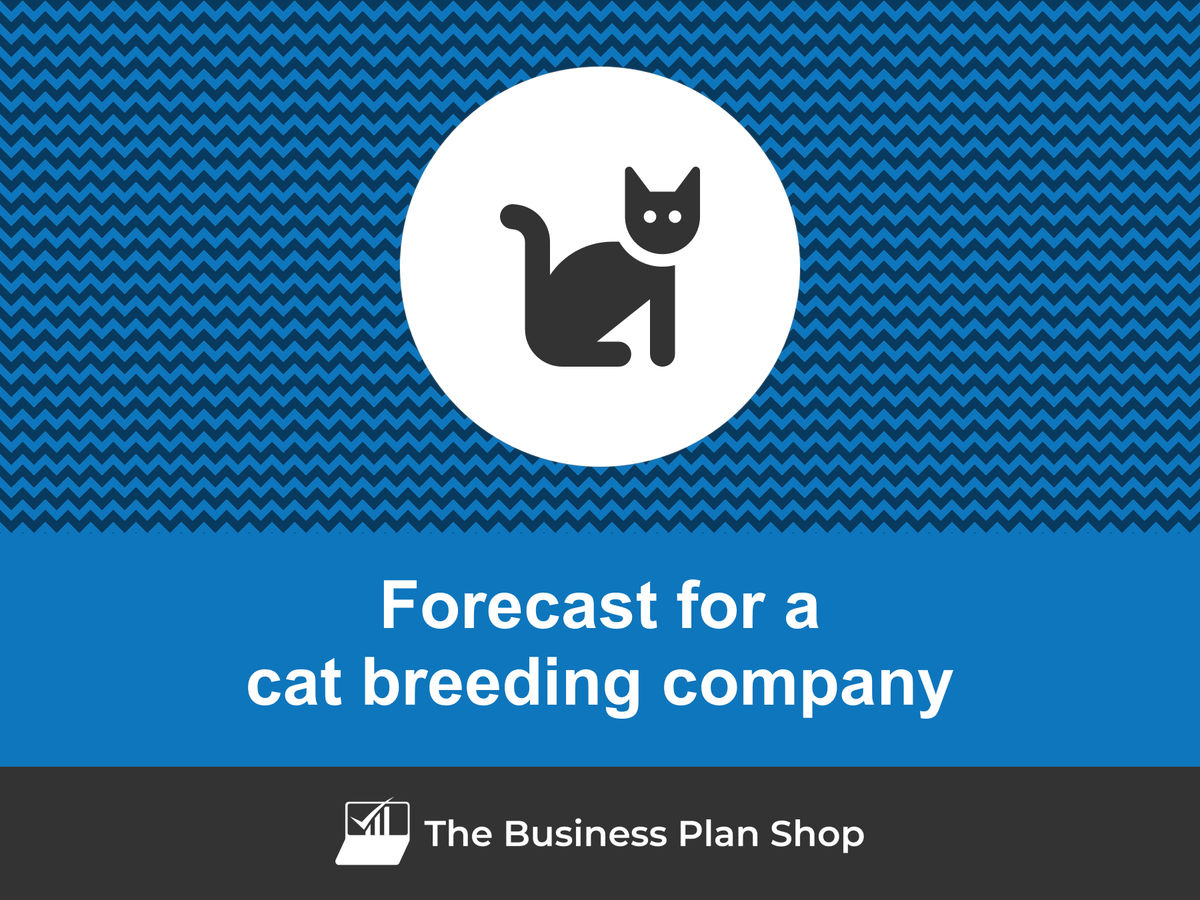 How to create a cat breeding company financial forecast?