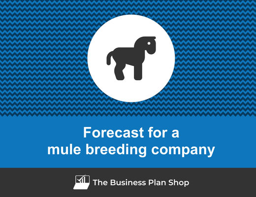 How to create a horse breeding company financial forecast?