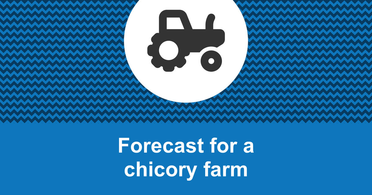 How to create a chicory farm financial forecast?