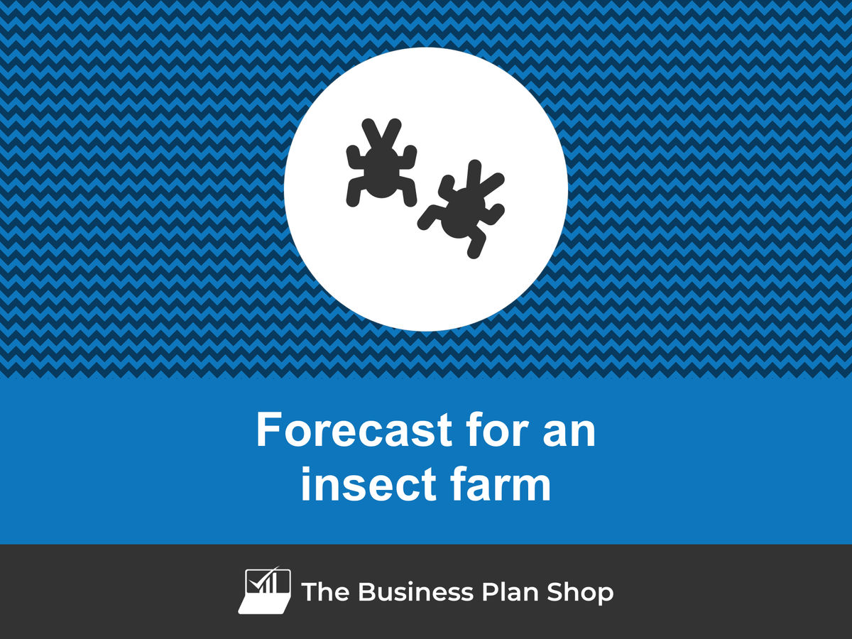 How to create an insect farm financial forecast?
