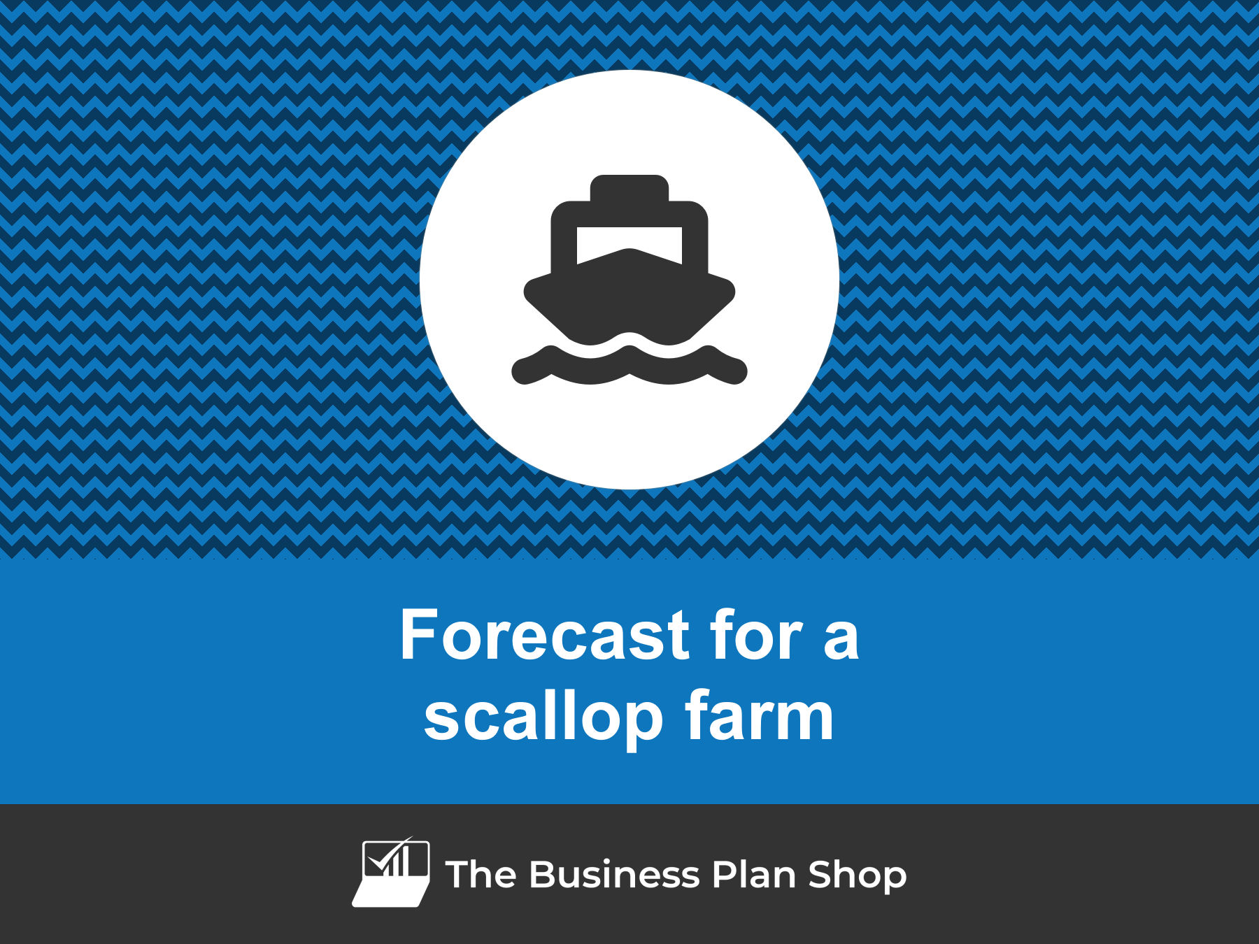 How to create a scallop farm financial forecast?