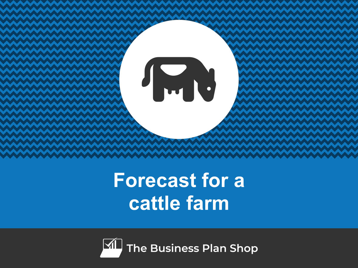 How to create a cattle farm financial forecast?