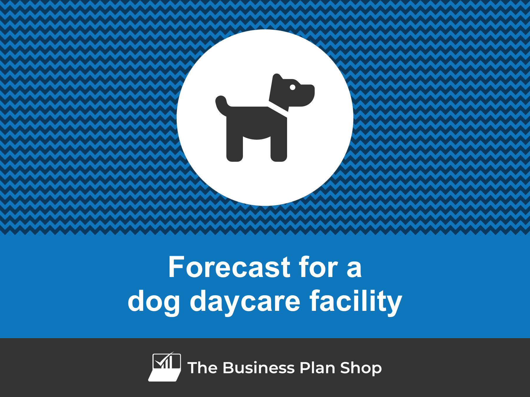 How to create a dog daycare facility financial forecast?