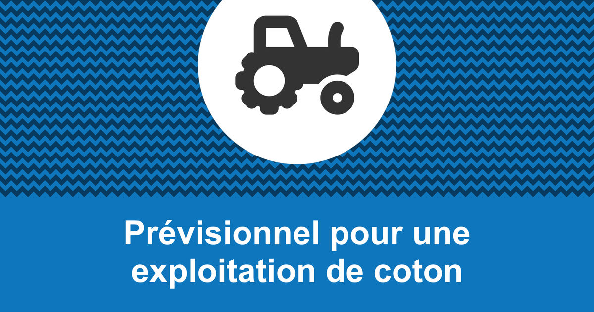 Faire le prévisionnel d'une exploitation de coton