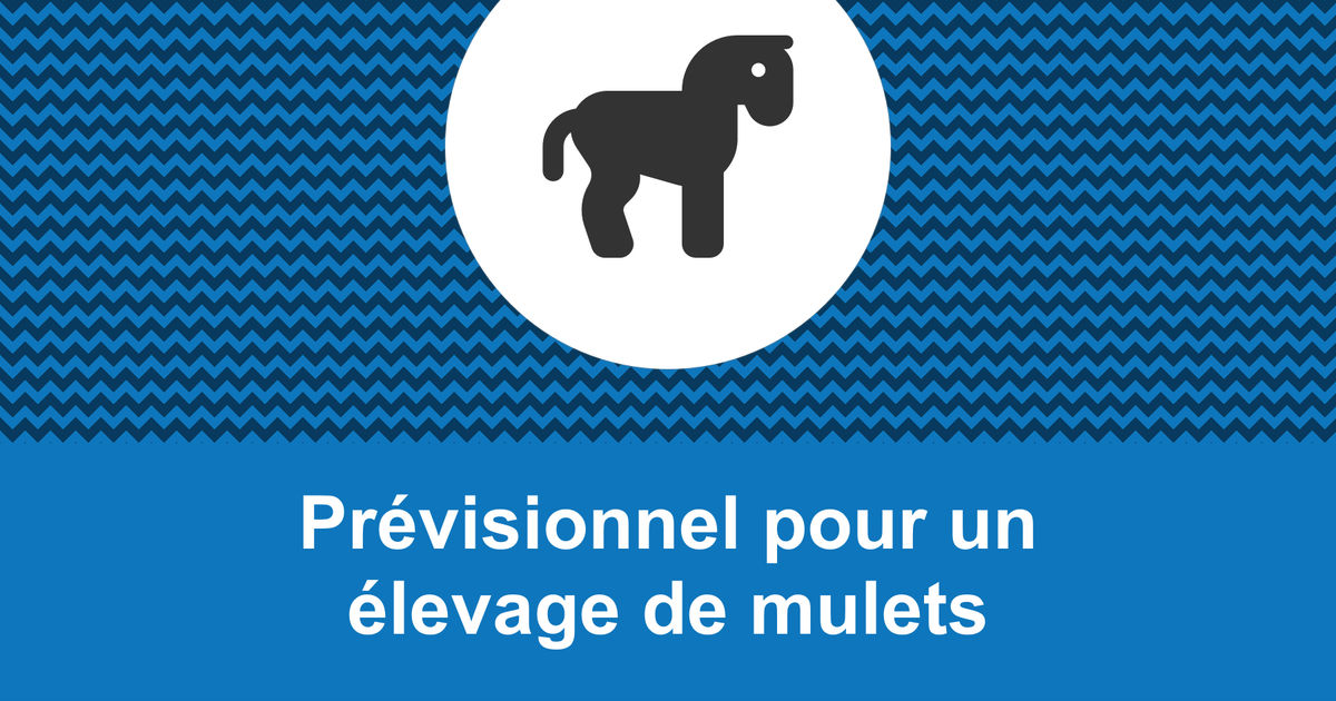Faire le prévisionnel d'un élevage de mulets