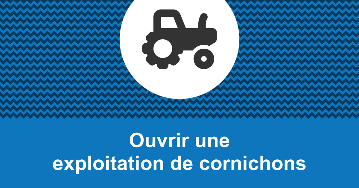 Comment ouvrir une exploitation de cornichons rentable