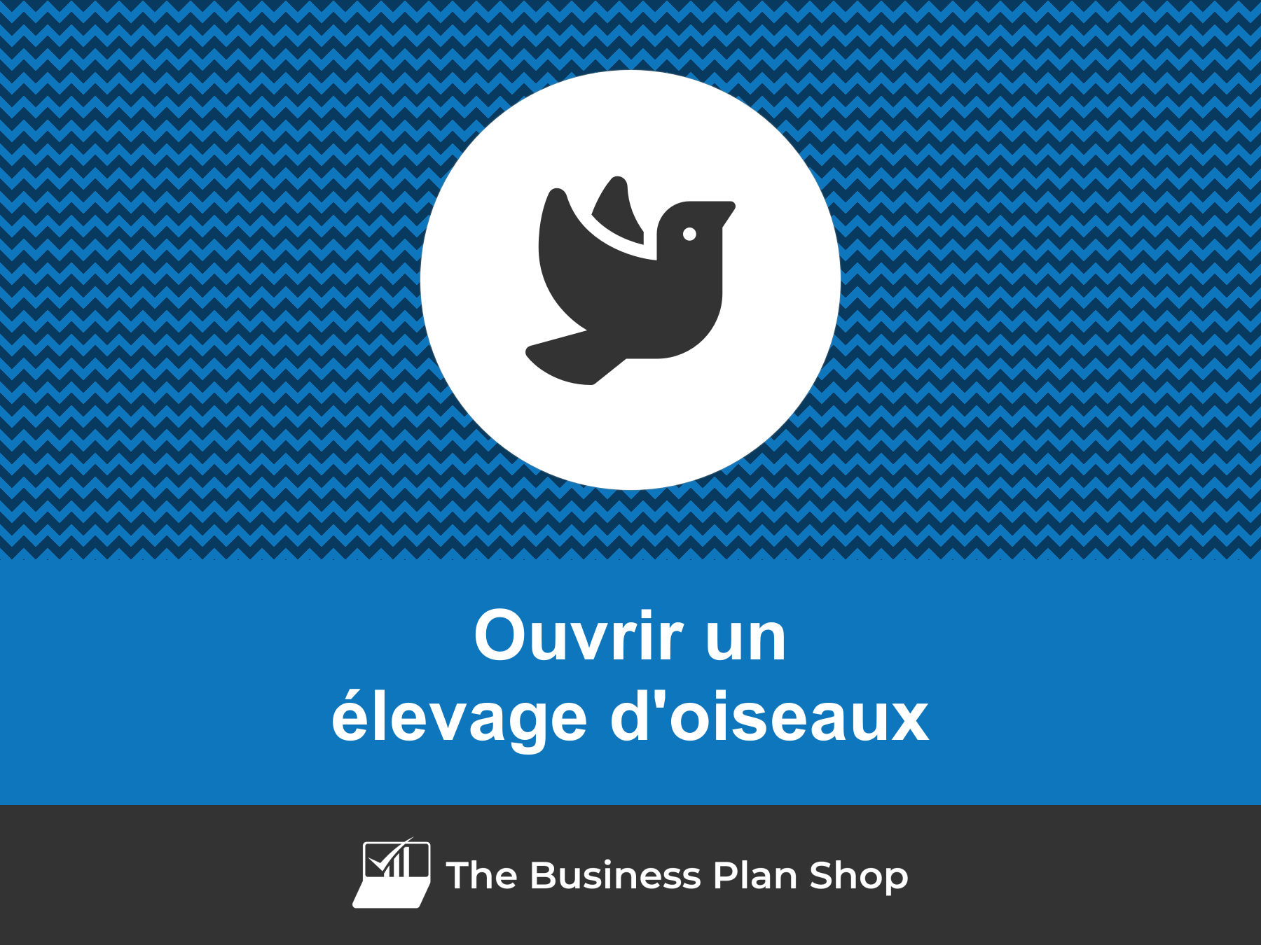 Comment ouvrir un élevage d'oiseaux rentable