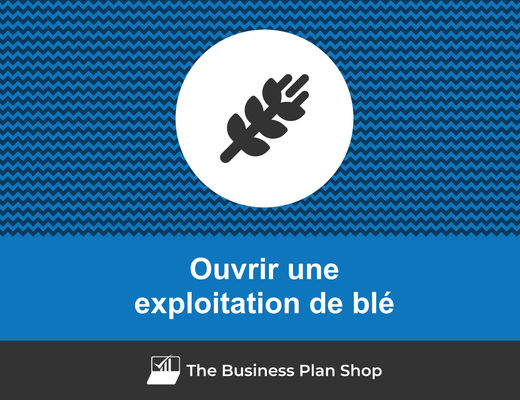 Comment faire un business plan pour une exploitation de blé